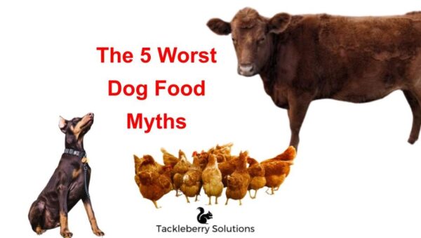 Large Breed Dog Food: 5 Worst Myths - Tackleberry Dobermans